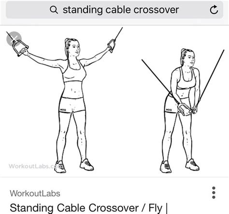 19 Exercise Examples Ideas Exercise Workout Workout Routine