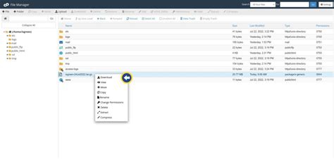 How To Backup Your Website With Cpanel Storm Internet