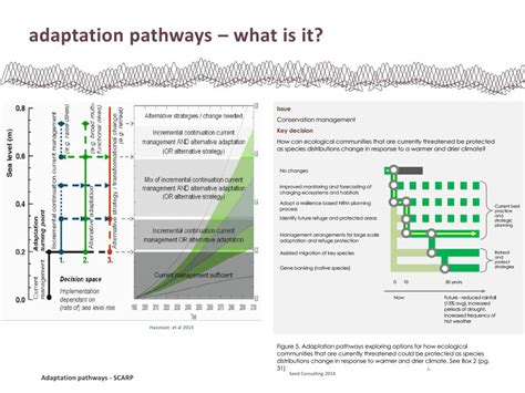Ppt Adaptation Pathways Planning Powerpoint Presentation Free
