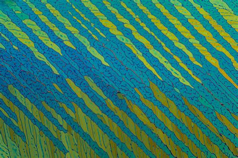 Harnstoff Urea Doccheck