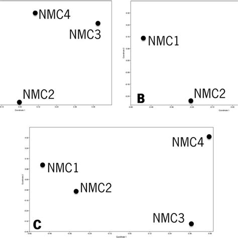 Non Metric Multidimensional Scaling Nmds For The Morphological