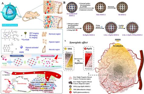 Representative Nanomedicines For Photodynamic Synergistic