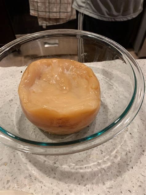Dead Scoby R Kombucha