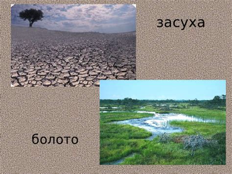 Что такое почва