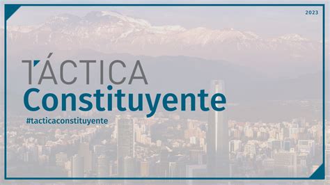 Funcionamiento Del Proceso Constitucional