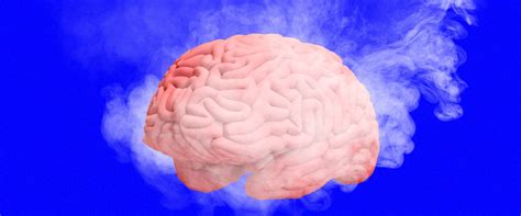 Smoking The Brain At Timothy Mitchell Blog