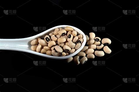 黑眼豆豆
