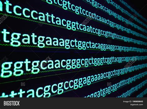 Sequencing Gene Image And Photo Free Trial Bigstock