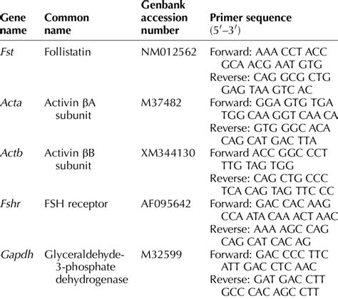 Rat Primer Sequences For Real Time Pcr Download Table