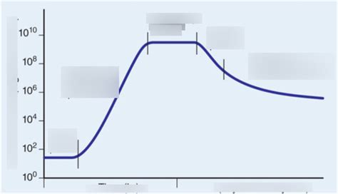 Growth Curve Diagram Quizlet