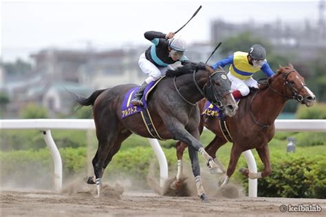 【さきたま杯】これがg1馬の力！アルクトスが初めての浦和を難なくこなして快勝！ 競馬ニュース 競馬ラボ