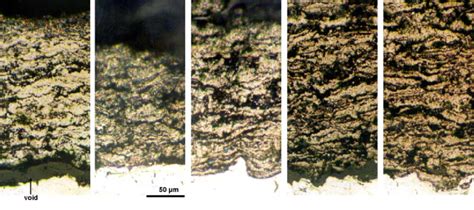 Micrographs Of Wc Co Coating On Samples With Grit Blasting Pressure Of Download Scientific