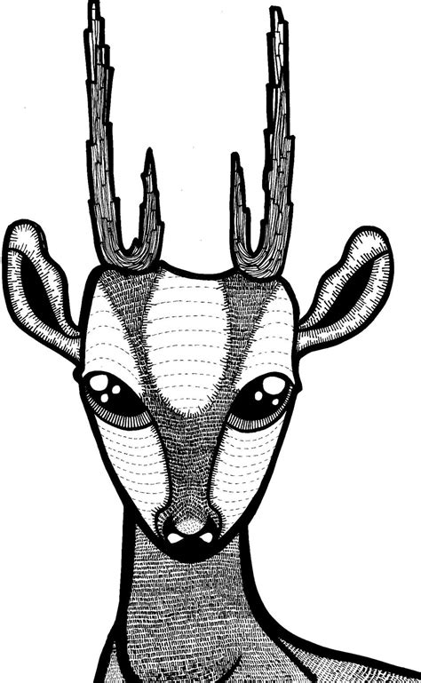Huemul Para Pintar Imagui