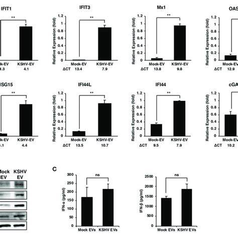 Microarray Analysis For Mrna Expression In Human Endothelial Cells