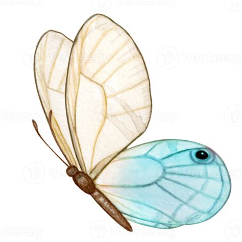 Watercolor Hand Drawn Butterfly 21360917 Png