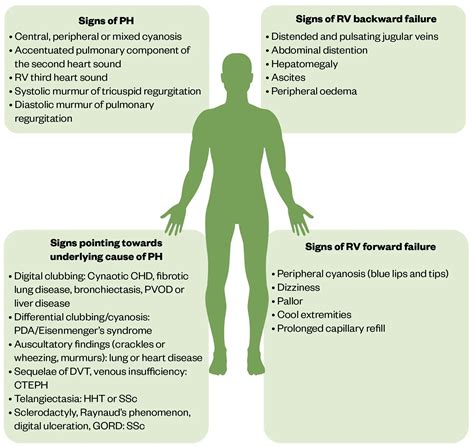 Pulmonary Hypertension Recognition Diagnosis And Management The