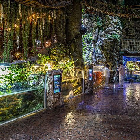 전남 여수 아쿠아플라넷 여수 입장권and종합권 뮤지엄 오브 컬러and5d 영상관 까지 티몬