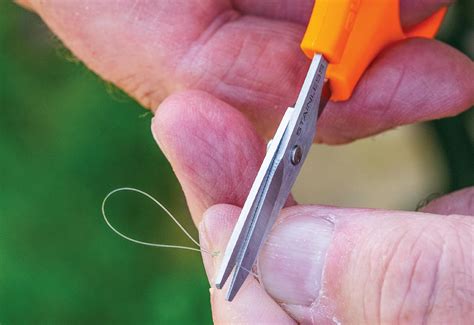 How To Set Up An Elasticated Feeder Tackle Guru