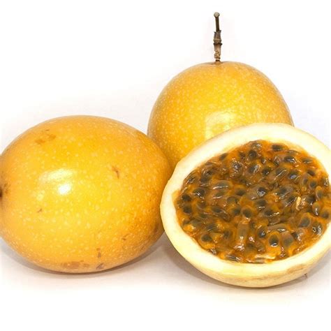 Passion Flower Seeds Etsy