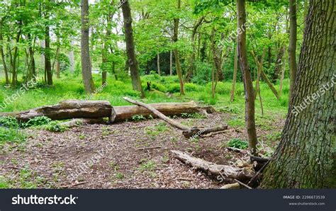 Build Shelter Over Royalty Free Licensable Stock Photos Shutterstock