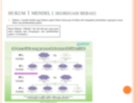 Solution Ppt Hukum Mendel Studypool