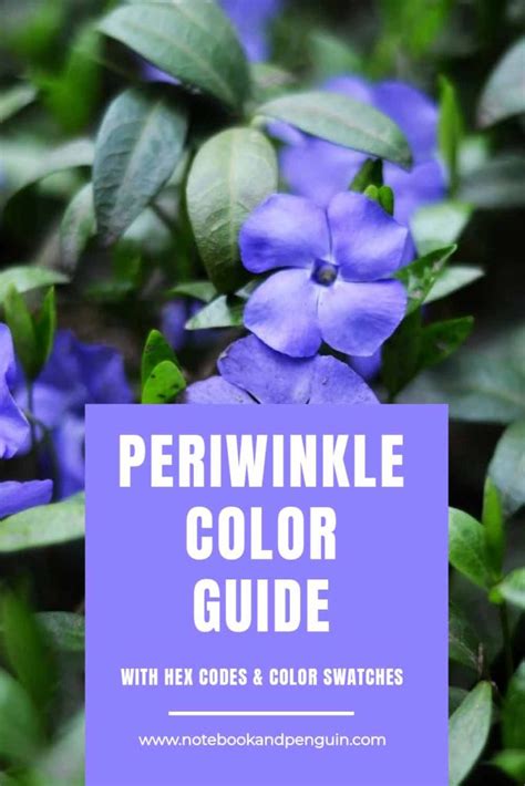 The Periwinkle Color Guide With Hex Codes And Color Swatches