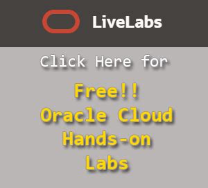 Great Examples Of How To Use The Oracle Cloud Free Tier Oracle Cloud Blog