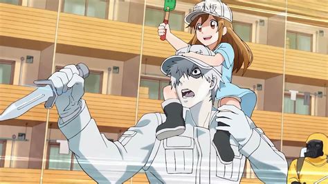 Anime Cells At Work Wallpapers Wallpaper Cave