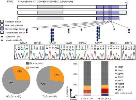 Stat3 Mutations Unify The Pathogenesis Of Chronic Lymphoproliferative