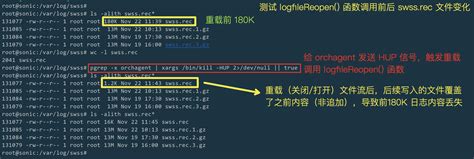 sonic201911 丢失 swss rec 历史日志问题及修复 EisenHao s Note