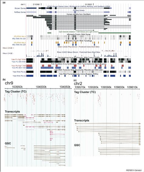 Examples Of Transcriptome Complexity A An Image Of Selected Traces Download Scientific