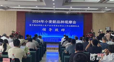 河北唯一！中国农业科学院小麦产业专家团石家庄工作站揭牌凤凰网河北凤凰网