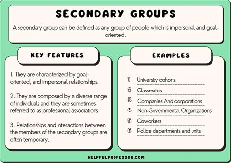 Secondary Groups In Sociology Definition And 10 Examples 2025