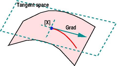 Illustration Of The Line Search And The Tangent Space Download Scientific Diagram