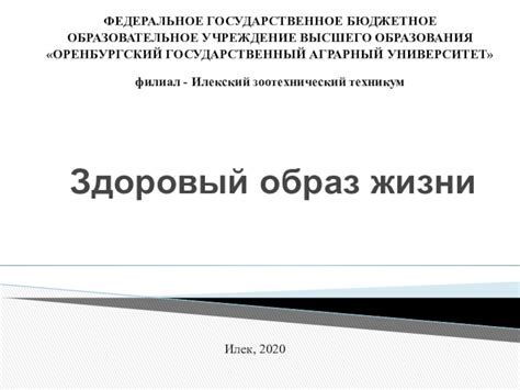 Здоровый образ жизни презентация доклад