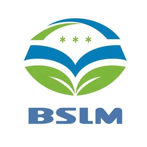 BSLM 商标查询 企查查
