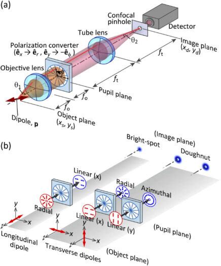Schematic Diagram Of Confocal Detection With Polarization Conversion Download Scientific