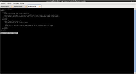 Página de Seraph Configurando un sitio estático con flask