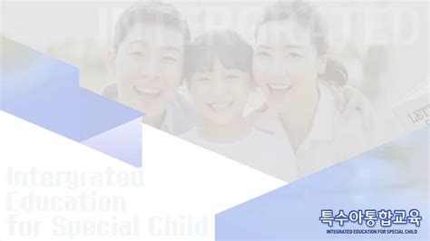 특수아통합교육