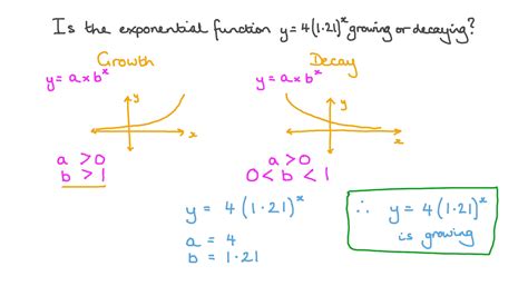 Exponential Decay Equation