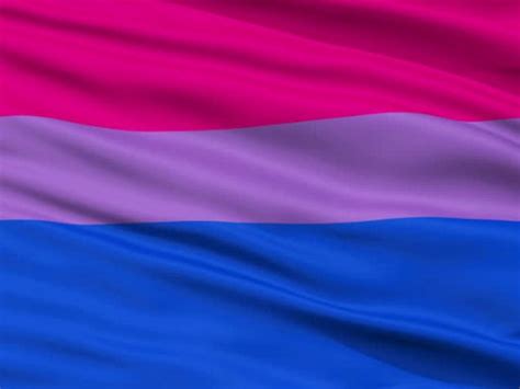 Bandera Lgbt Compra Tu Bandera Gay O Bisexual En Tu Tienda Online