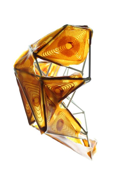 V Skull — Designed Ecologies