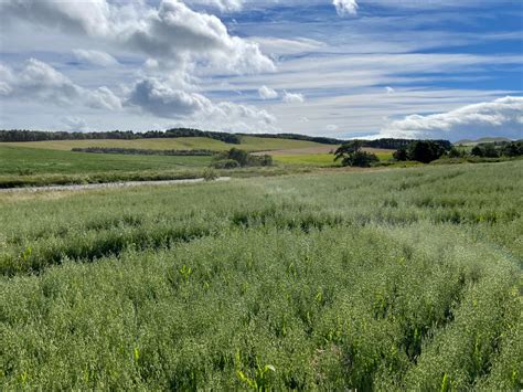 Andre Eitner On Linkedin Regenerativeagriculture Crediblemetrics