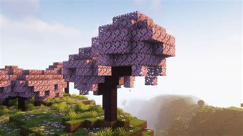 Minecraft Cherry Tree Guide Where To Find Uses And More