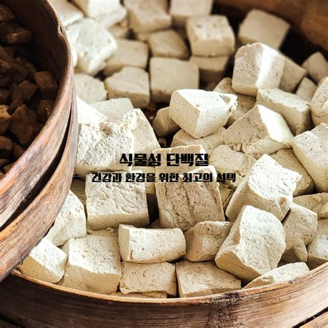 식물성 단백질 건강과 환경을 위한 최고의 선택