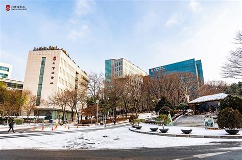 Rekomendasi 6 Universitas Dengan Law School Terbaik Di Korea Namsan