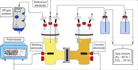 Microbial Electrosynthesis Scientists Discover That Bacteria Can Produce More Chemical