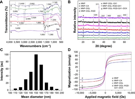 A Fourier Transform Infrared Spectroscopy Spectra Of MNP A MNP Ca