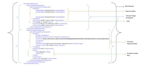 Batch Operation In OData V2 Adapter In SAP Cloud P SAP Community