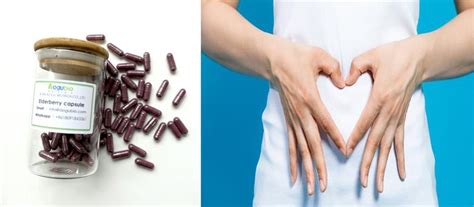 China Best Berbamine Dihydrochloride Manufacturers Suppliers Factory Wholesale Service